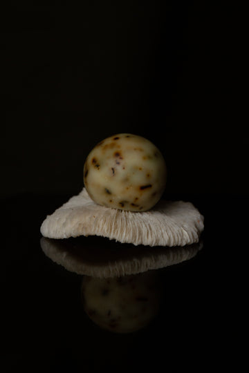 Regenerative Tallow® Beauty and Candles | Summer Solace Tallow