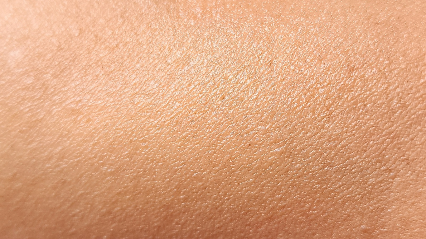 Summer Solace | Chef & Gardener's Tallow Balm – Summer Solace Tallow