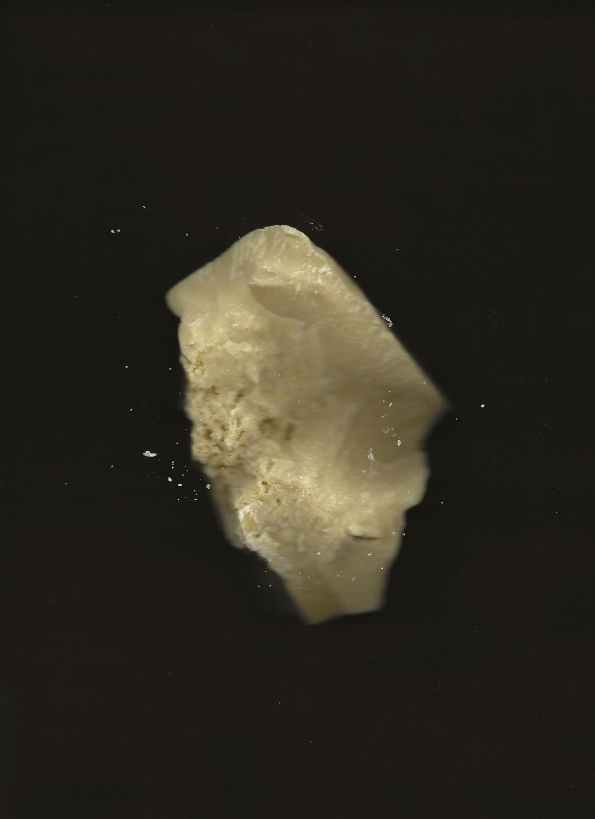 Regenerative Tallow® Beauty and Candles | Summer Solace Tallow